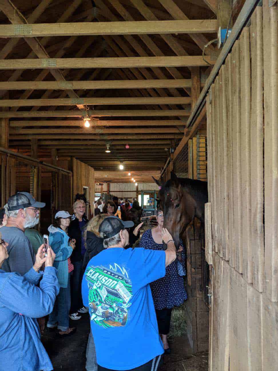 Indiana HBPA's "Grand Experience" Travels to Duran Farm on Saturday ...