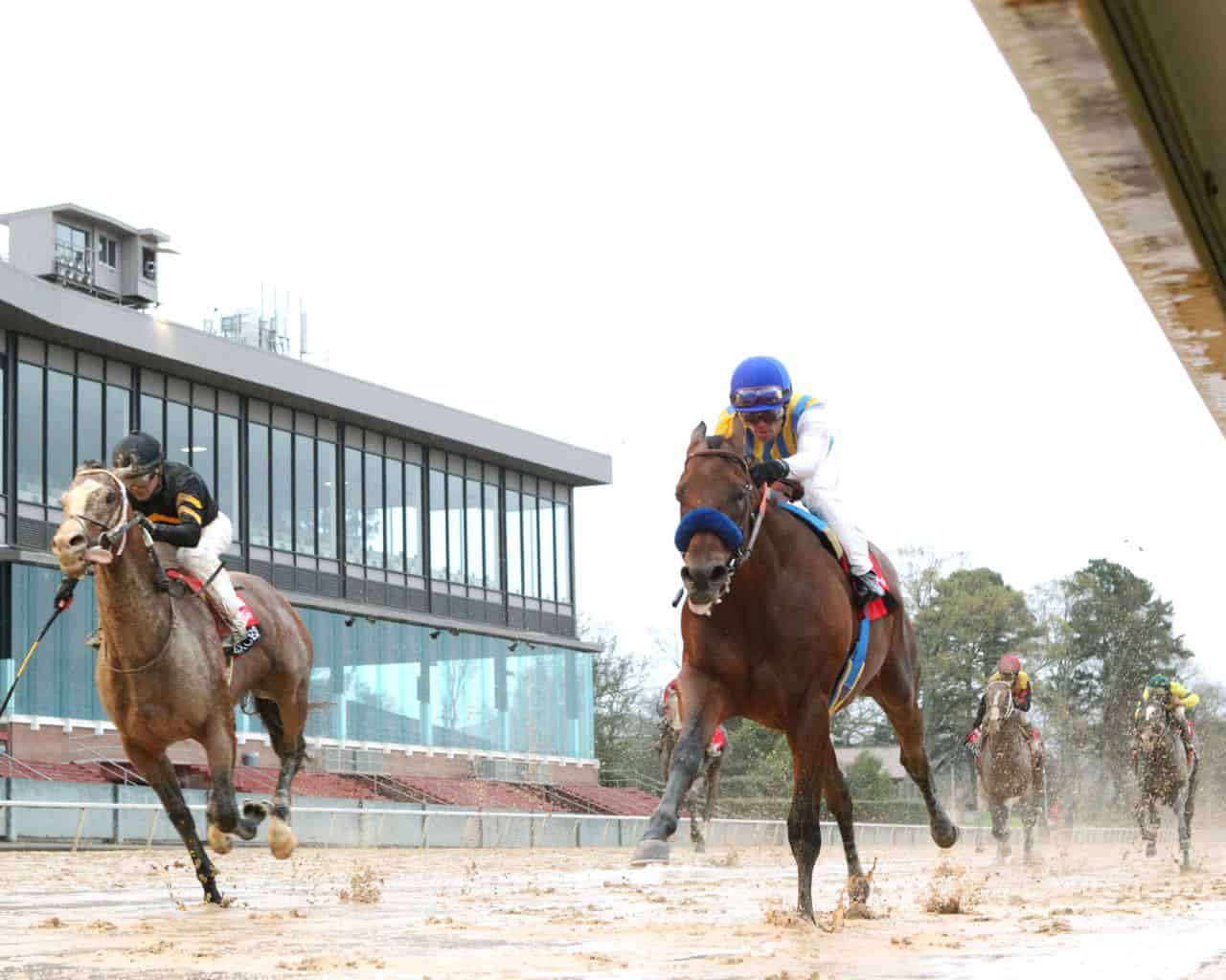 National HBPA Releases Guidelines Regarding Racing Industry’s Ability ...