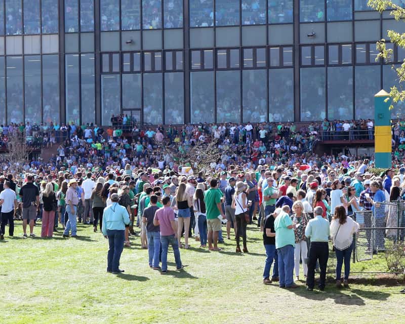 Oaklawn Sets Handle Record Rebel Day - National HBPA