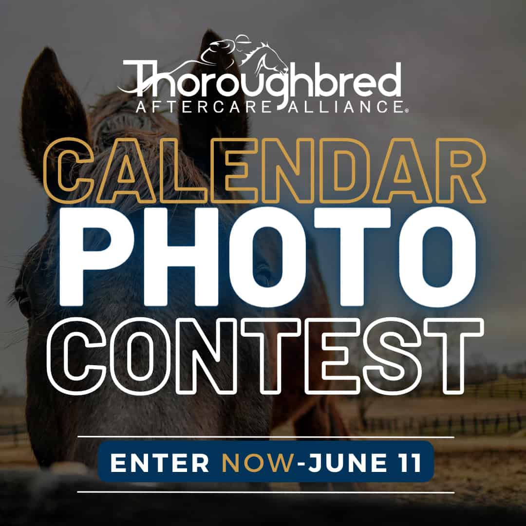 TAA Launches Second Annual Calendar Photo Contest - National HBPA