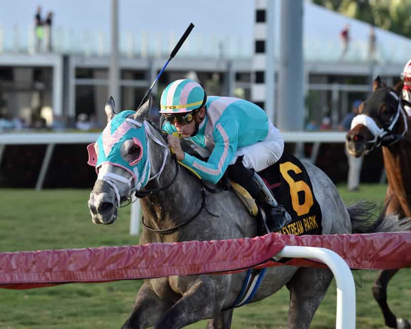 G3 Winner Tusk, Defending Champ Muggsamatic Top Claiming Crown Emerald ...